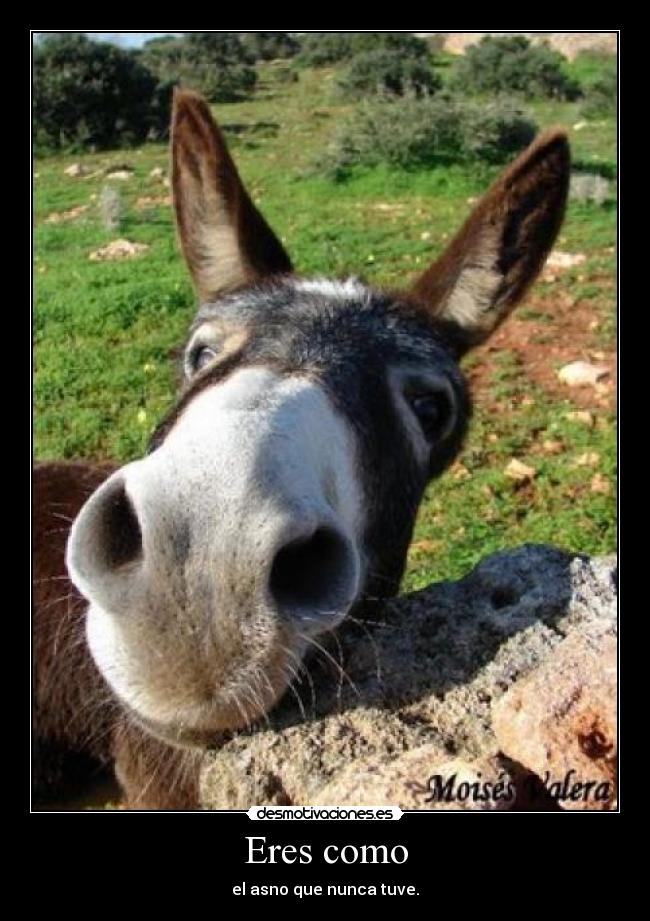 Usuario: sustingut16 | Desmotivaciones